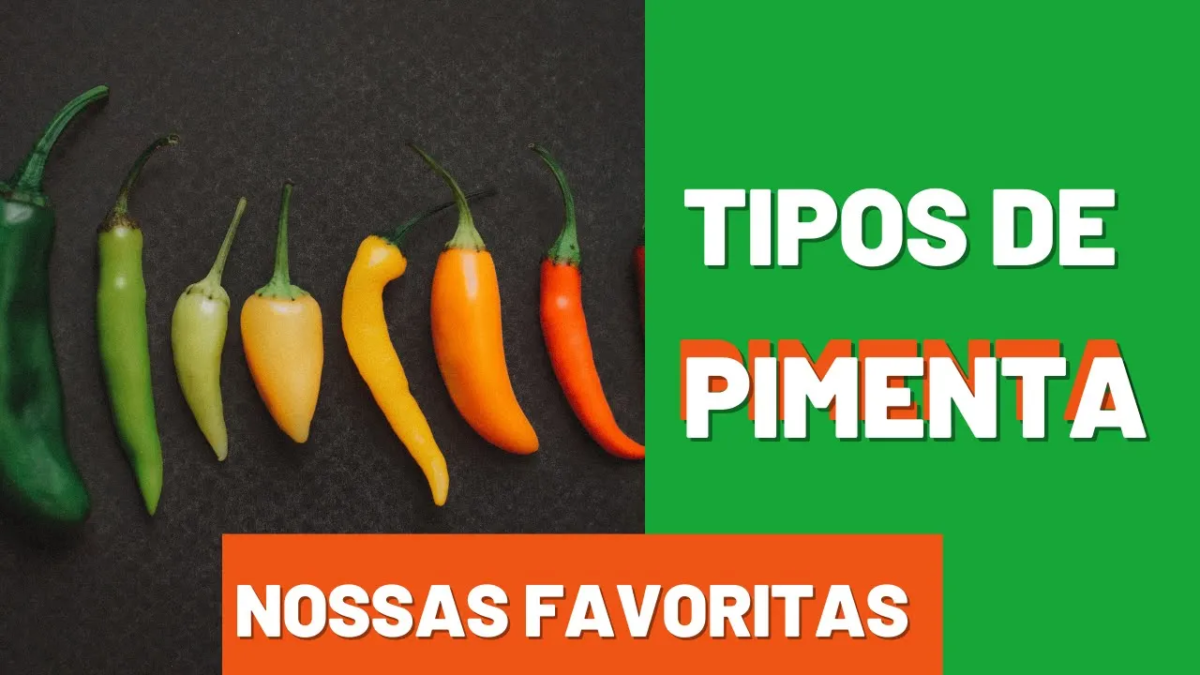 Tipos de pimentas - Manual do Jardim
